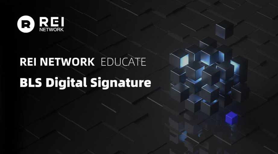 BLS Digital Signature Reduces Validator Storage Space on REI Network - Foresight News