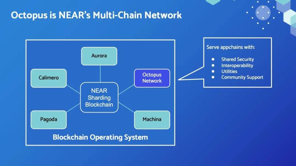 章鱼网络 Community Call #9｜Octopus2.0 的竞争力 - Foresight News