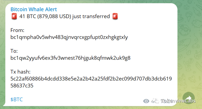 如何开发 BTC/TRX/ETH 地址监控机器人？ - Foresight News