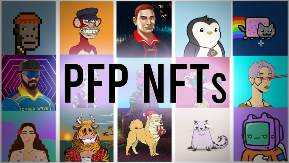 社交媒体上的 NFT 个人资料图片（PFP）是什么？ - Foresight News